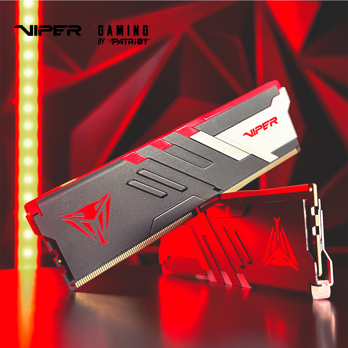 gITec Online Shop -Patriot Viper Venom RGB PVVR564G560C40K